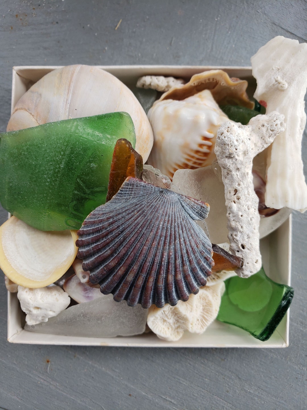 Sea Side Cottage! Shells, Beach Glass & Other Sea Trinkets - Etsy