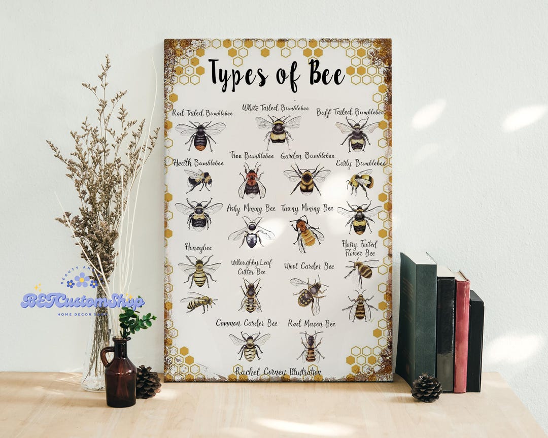 Funny Types of Bees Framed Canvas, Unframed Poster, Types of Bees ...