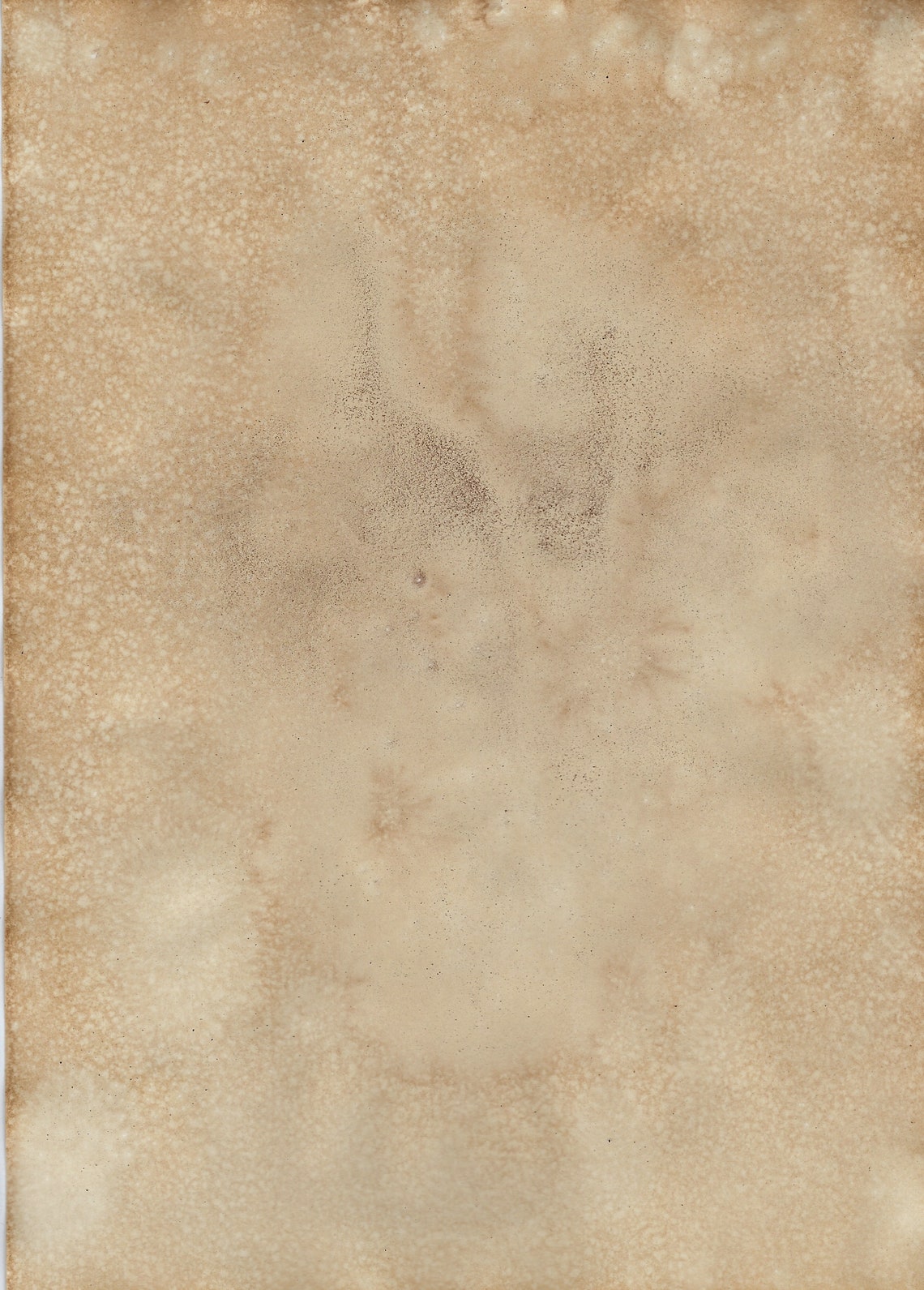 15 Vintage Spellbook Paper Textures, Natural Parchment, Digital ...