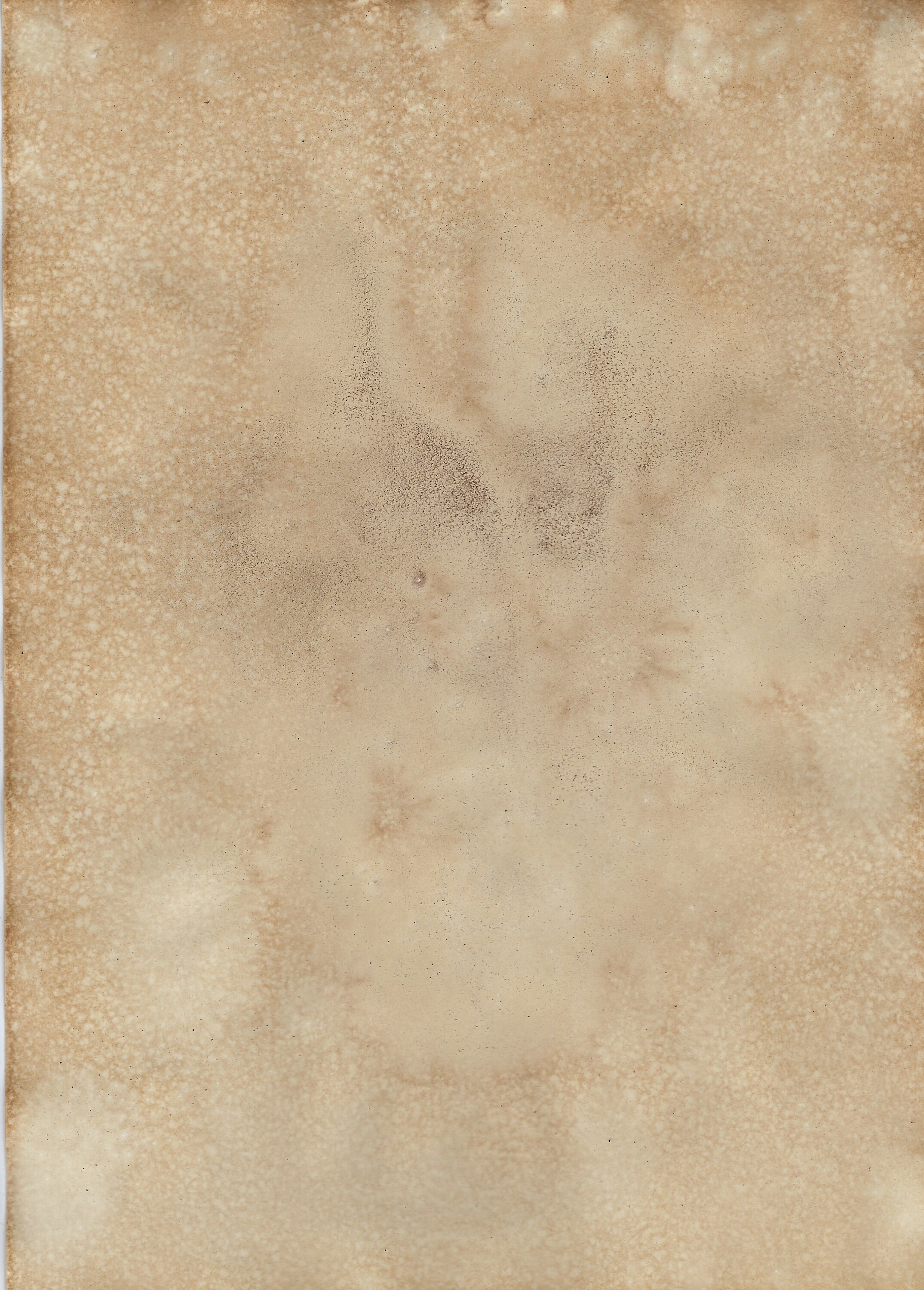 15 Vintage Spellbook Paper Textures, Natural Parchment, Digital ...