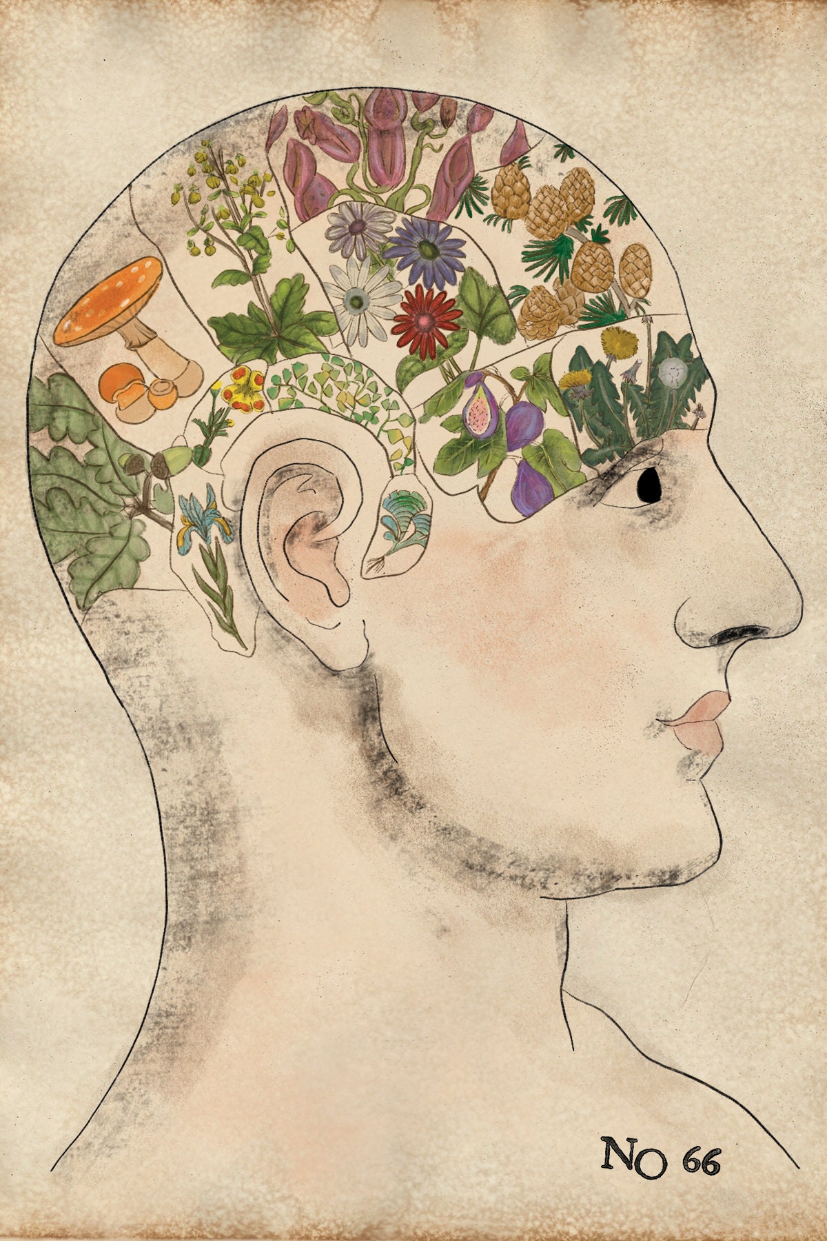 15 Vintage Spellbook Paper Textures, Natural Parchment, Digital ...