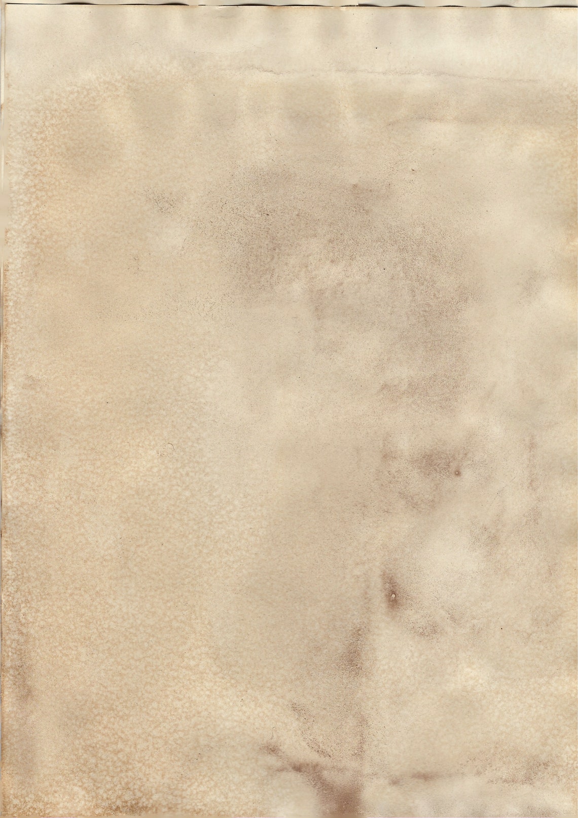 15 Vintage Spellbook Paper Textures, Natural Parchment, Digital ...