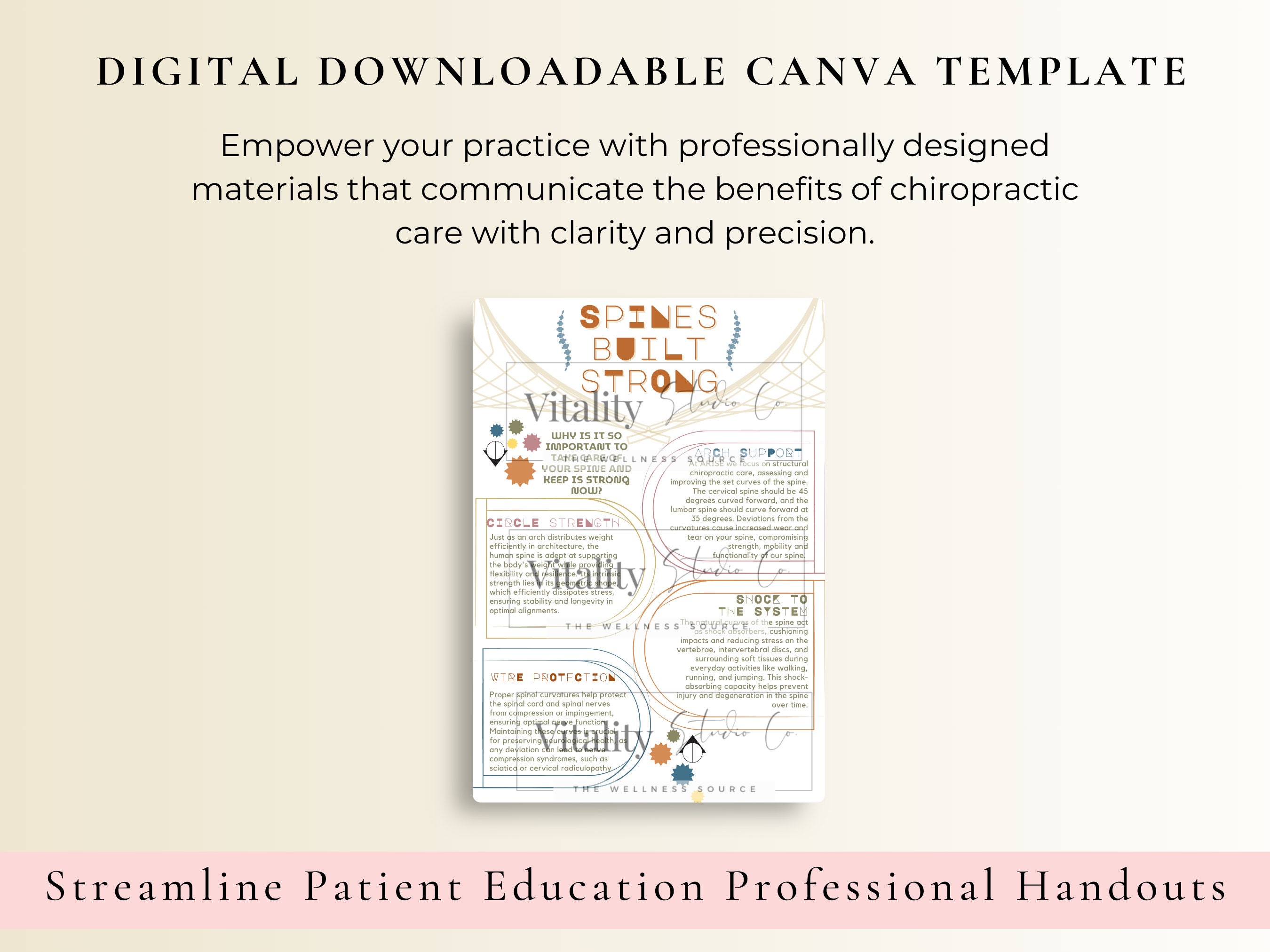 Spine Health Chiropractic Handout – Comprehensive Guide to Spinal ...