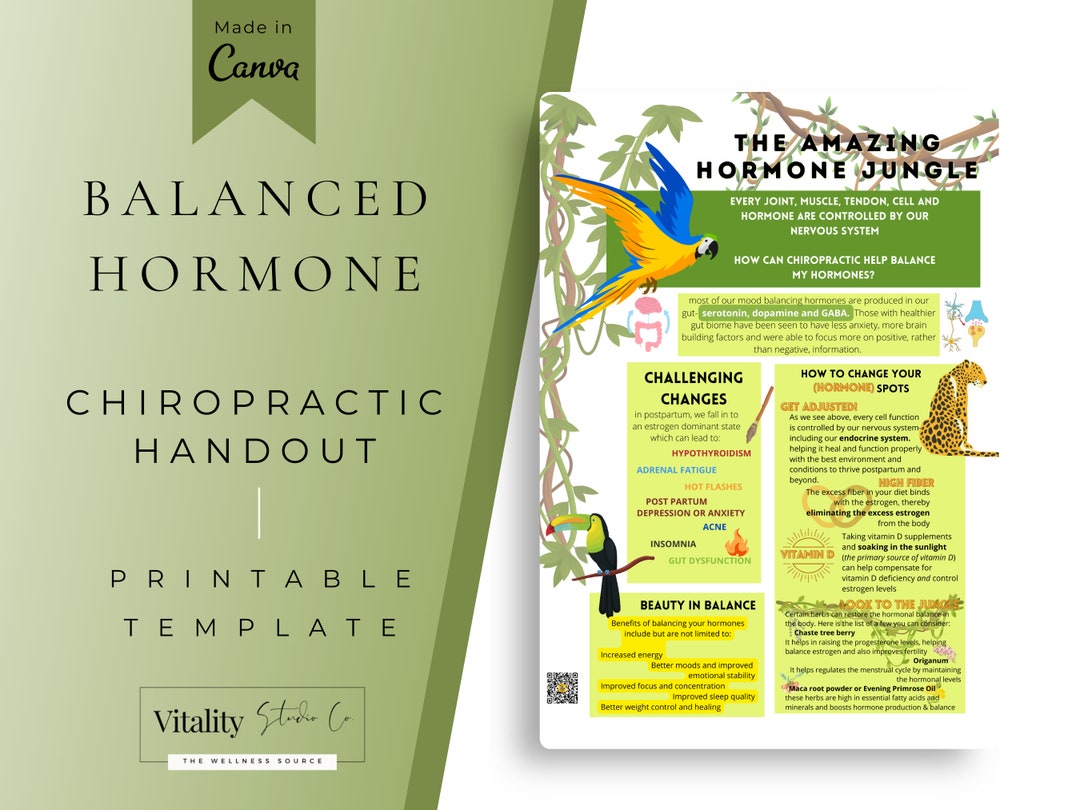 Chiropractic Hormone Balance Handout – Holistic Guide to Hormonal ...