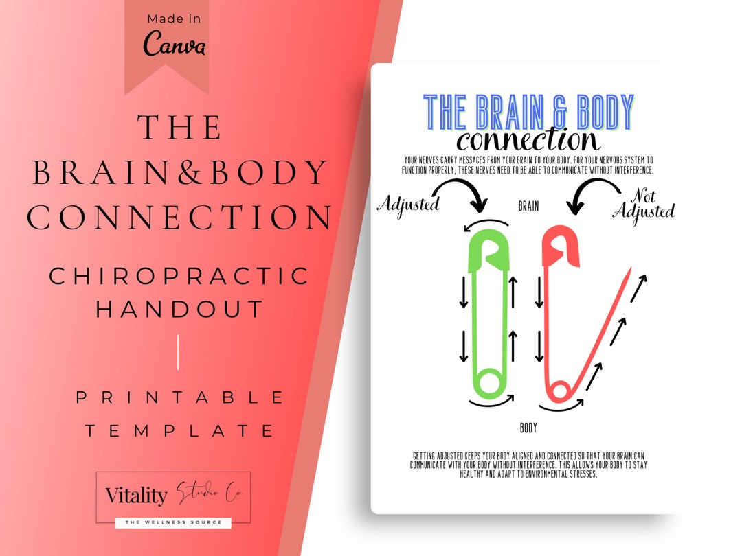 Neurological Chiropractic Care Handout – Understanding the Brain-body ...
