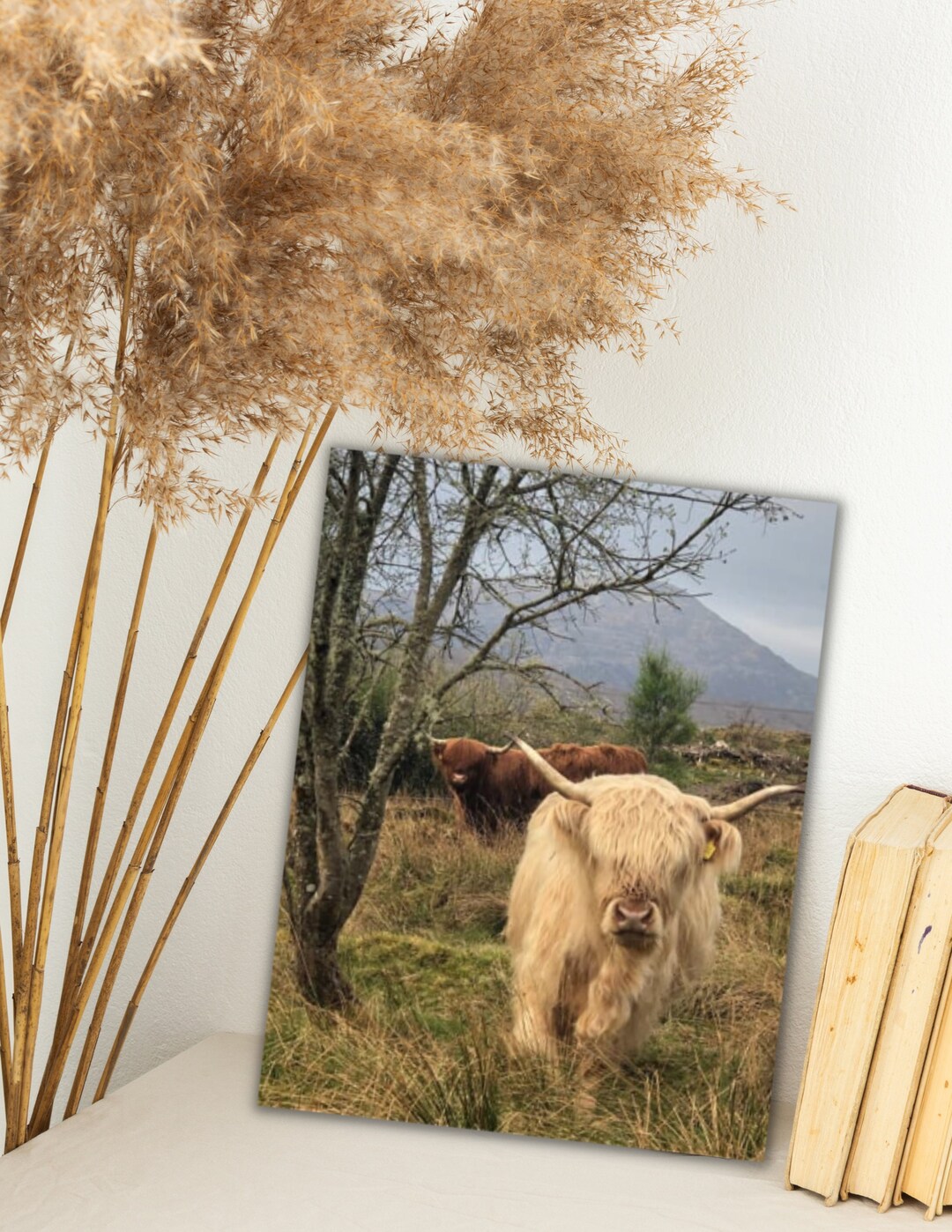 Highland Cattle, Farm House, Wood, Farm, Cow, Cattle, Neutral - Etsy