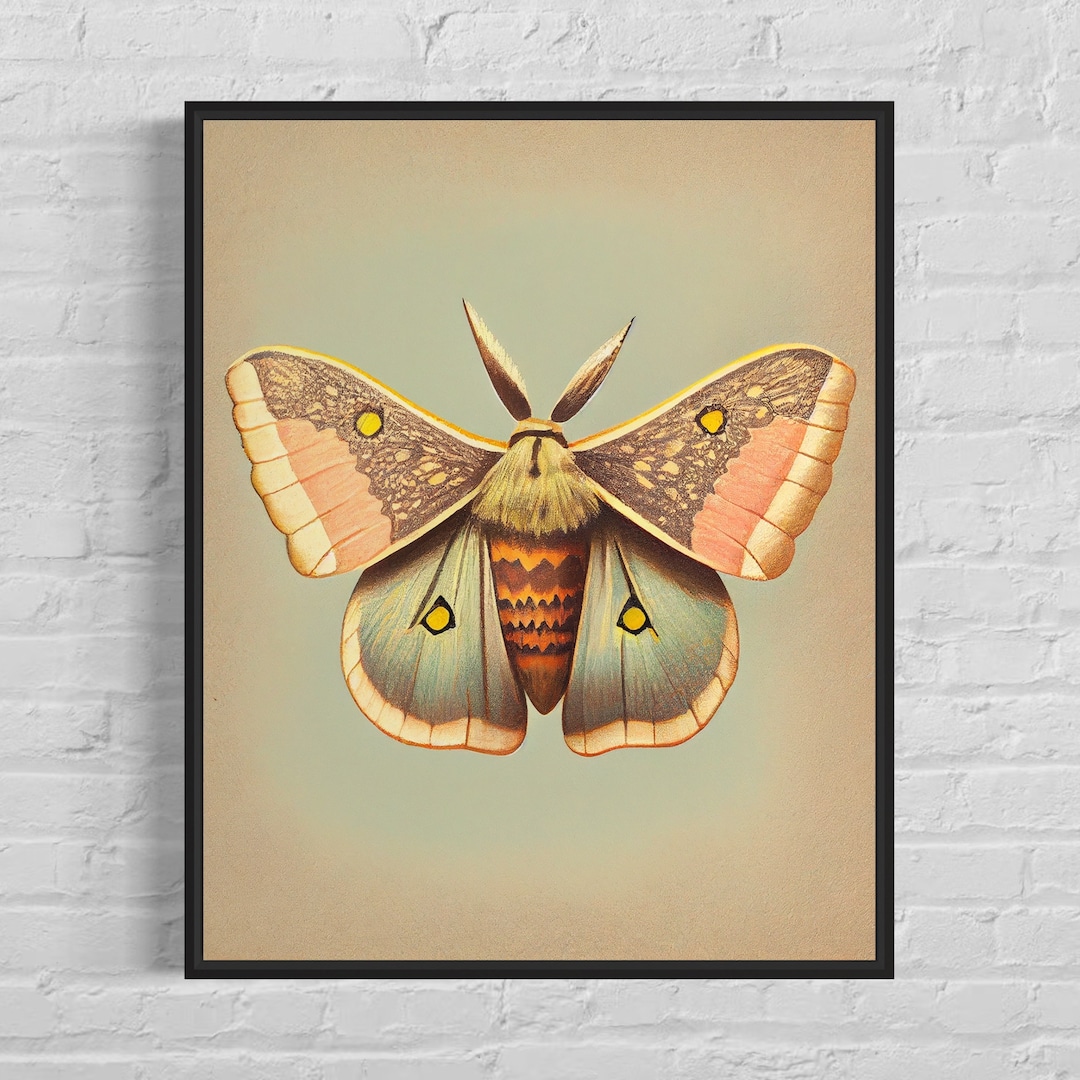 Moth Art Print Moth Vintage Poster Artwork, Moth Retro Wall Art Animal ...