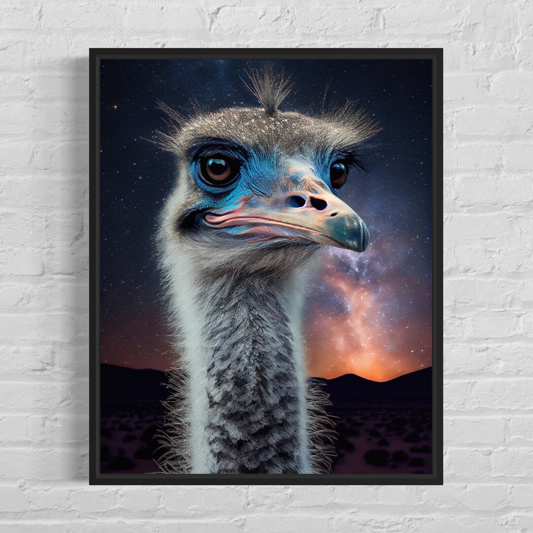 Ostrich Art Print, Original Ostrich Artwork, Ostrich Poster Black ...