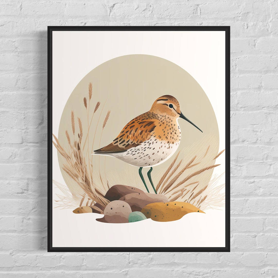 Dunlin Art Print Dunlin Vintage Poster Artwork, Dunlin Retro Wall Art ...