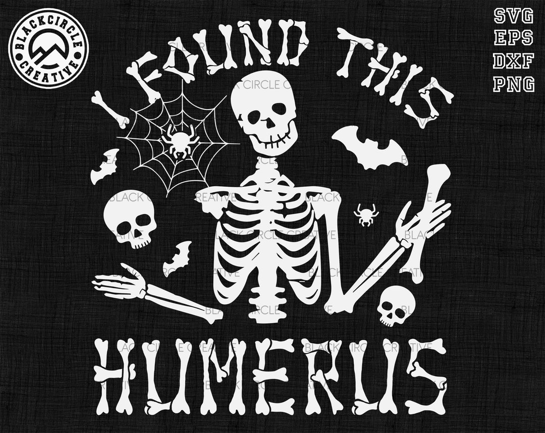 I Found This Humerus Svg, Skeletons Halloween Svg, Funny Halloween Svg ...