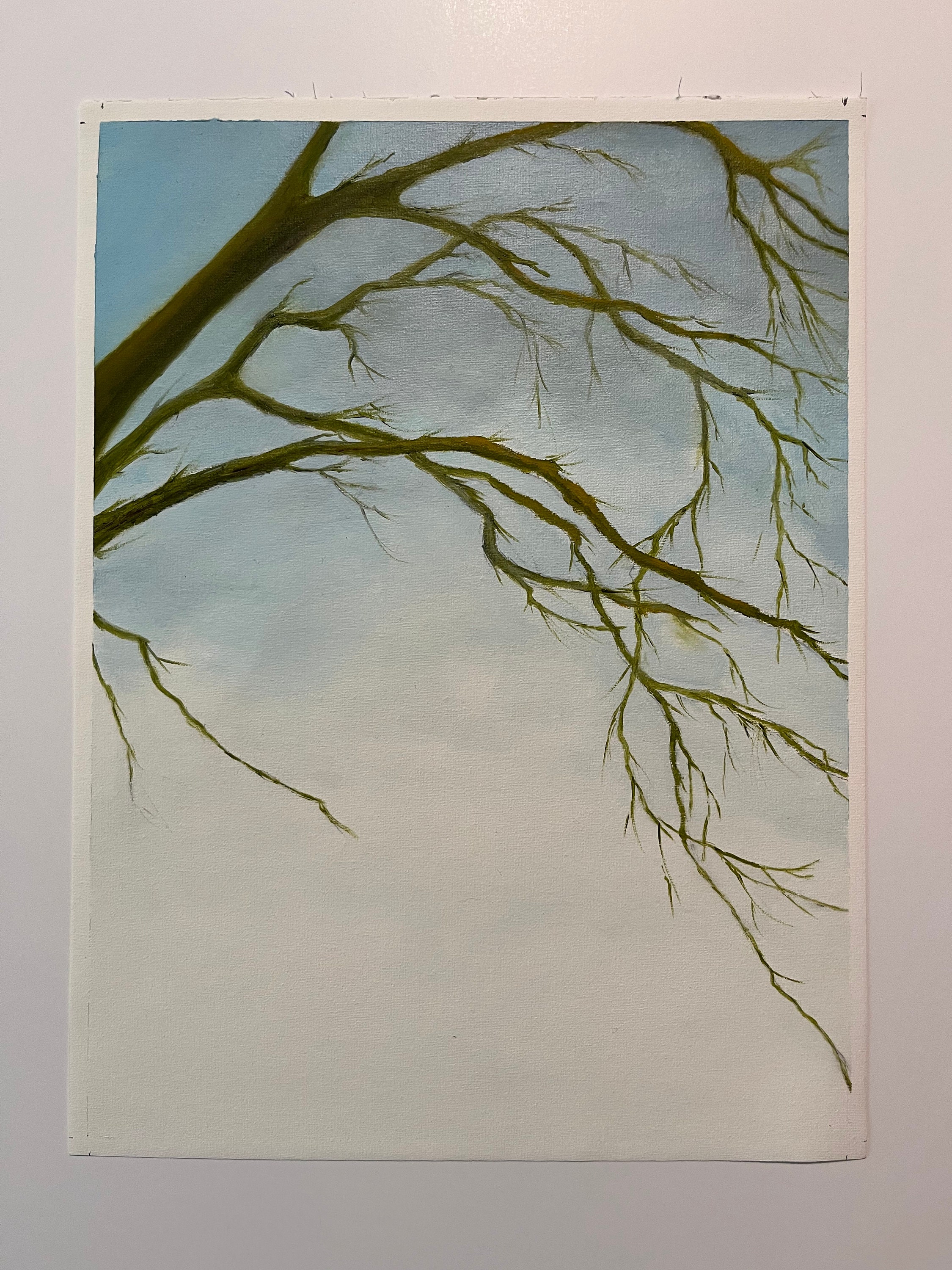 Acrylic Tree Branch Paintings