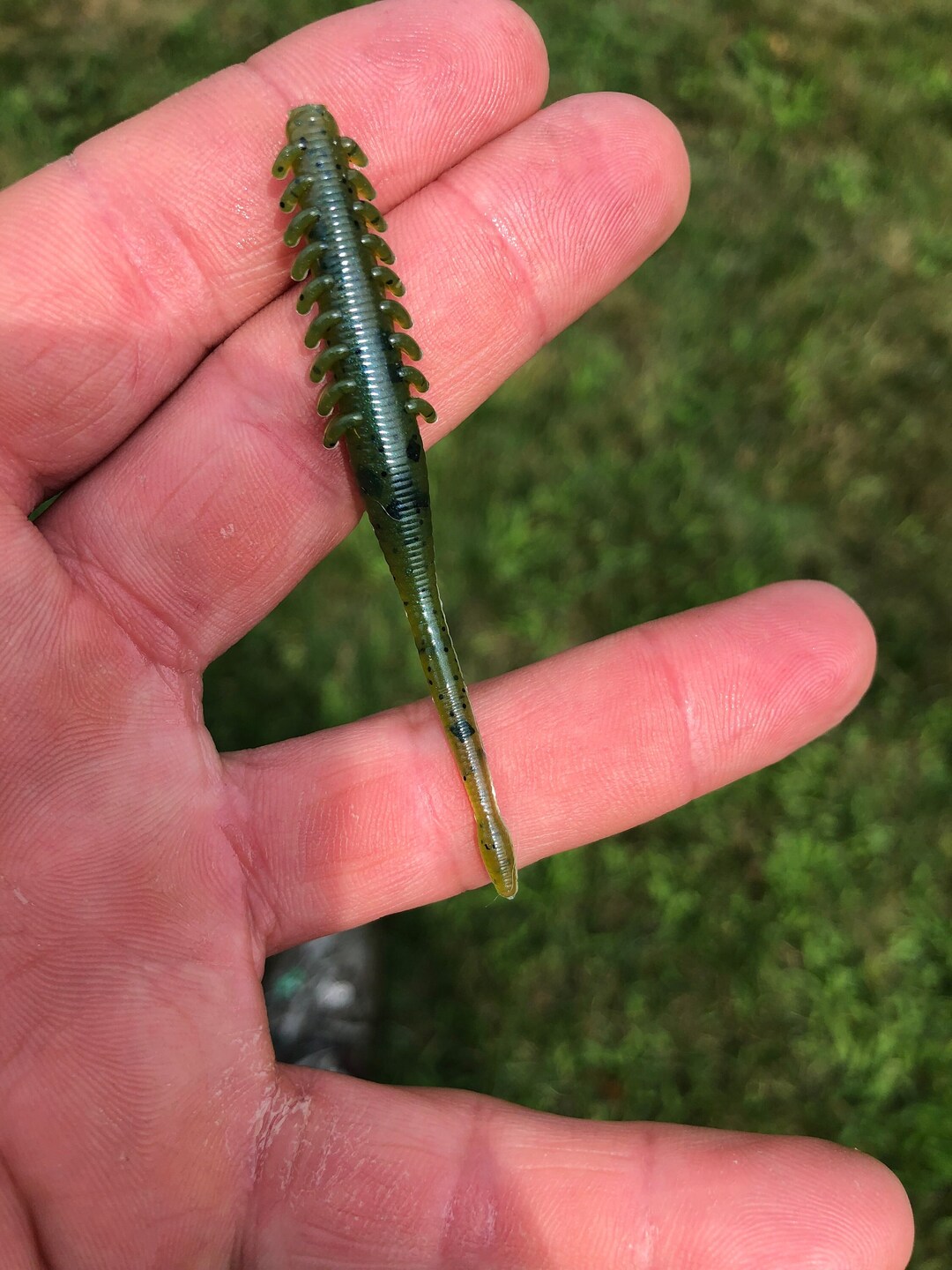 2.8” Skin Crawler 8ct - Etsy