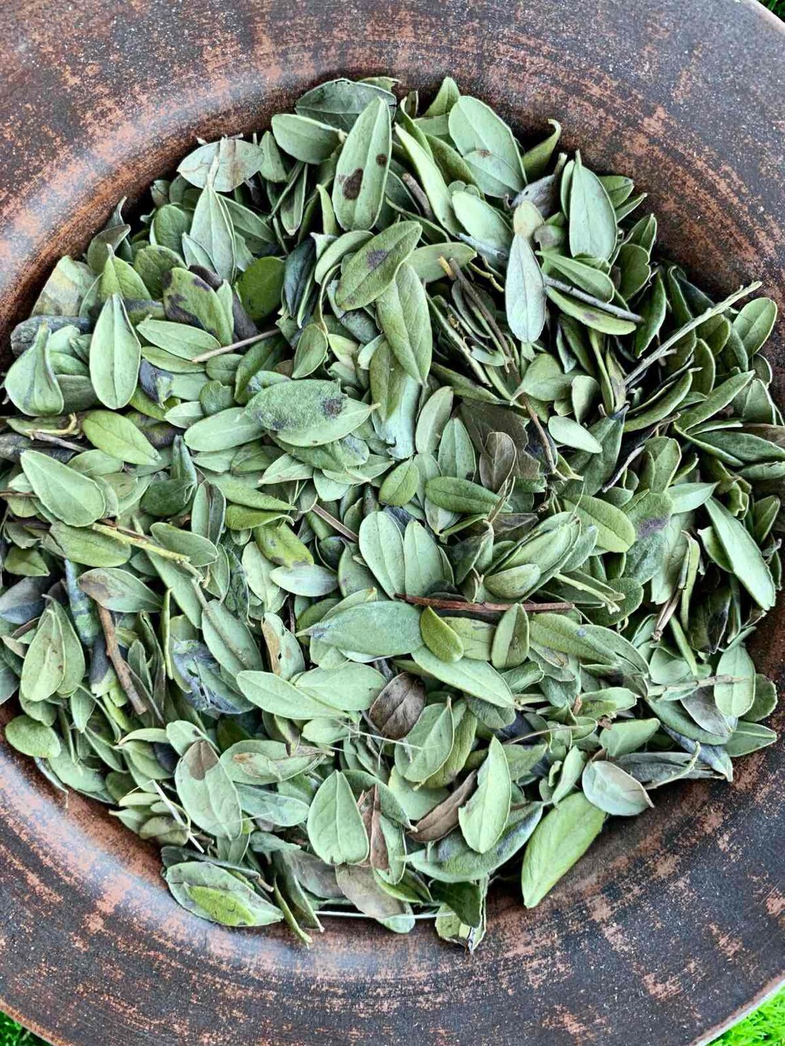 Organic PERIWINKLE HERB | Vinca Major | Organic Herbs | Dried Herbs ...