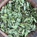 Organic PERIWINKLE HERB | Vinca Major | Organic Herbs | Dried Herbs ...