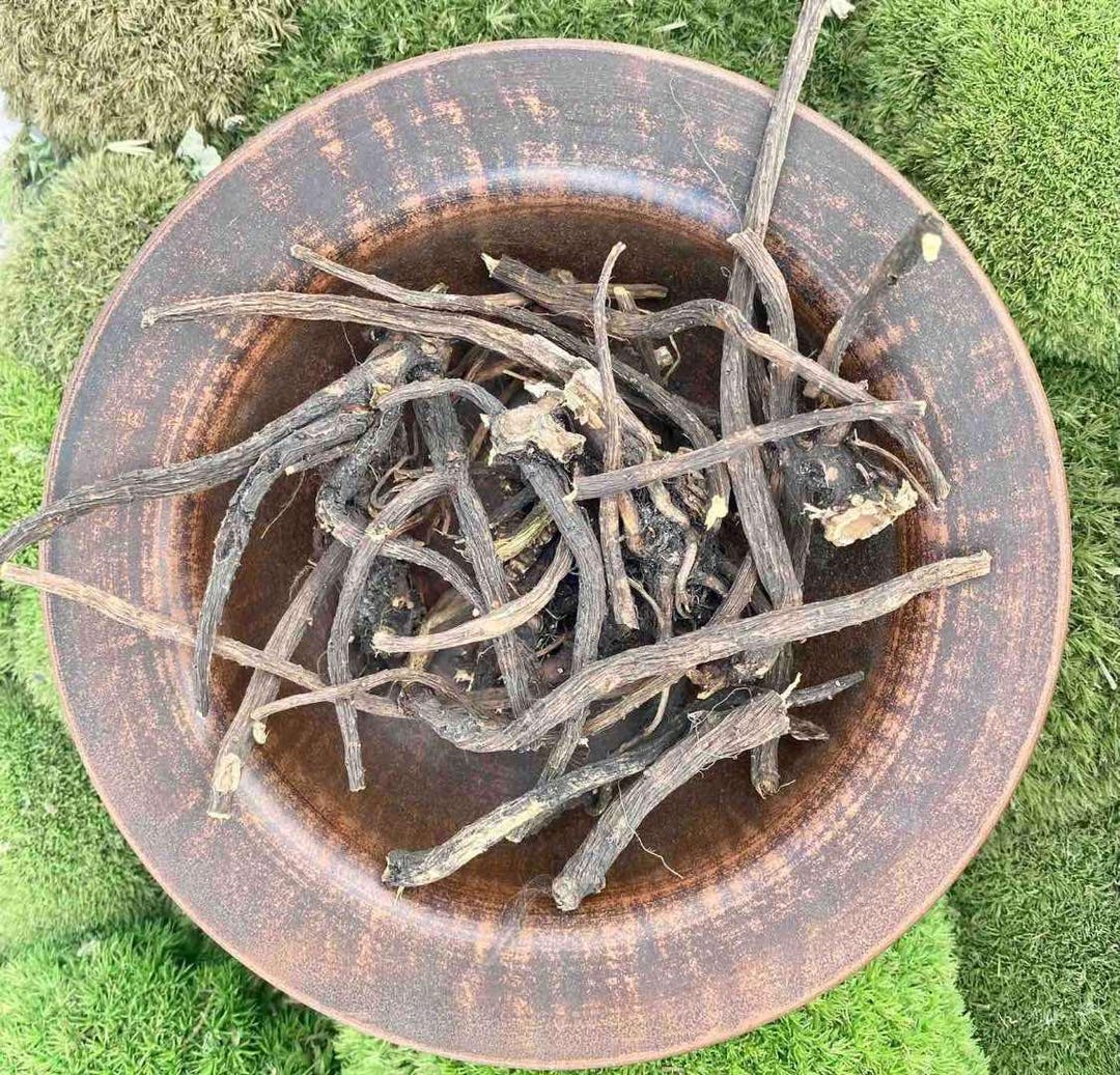 Dried Dock Root | Rumex Confertus | Dock Root Tea | Dried Natural Root ...