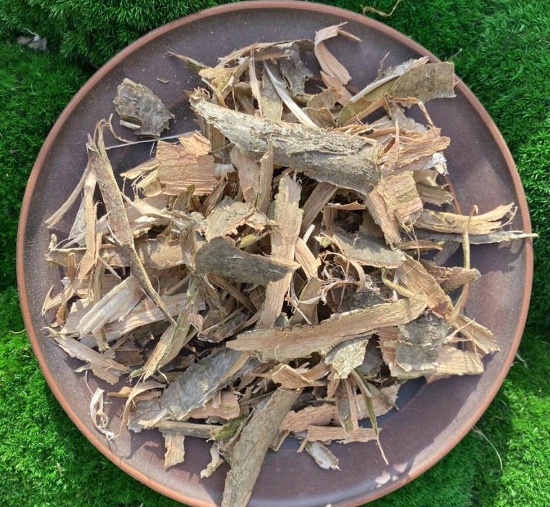 Organic OAK BARK | Quercus Robur | Oak Bark Tea | Herbal Tea | Dried ...