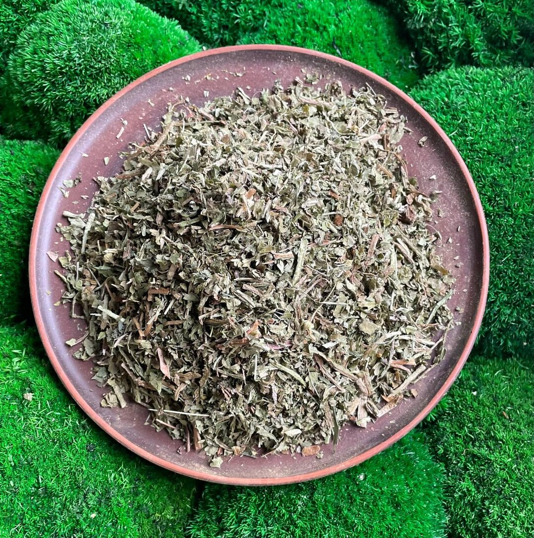 Organic White Birch Leaf | Betula Pendula | Crushed Birch Tea | Dried ...