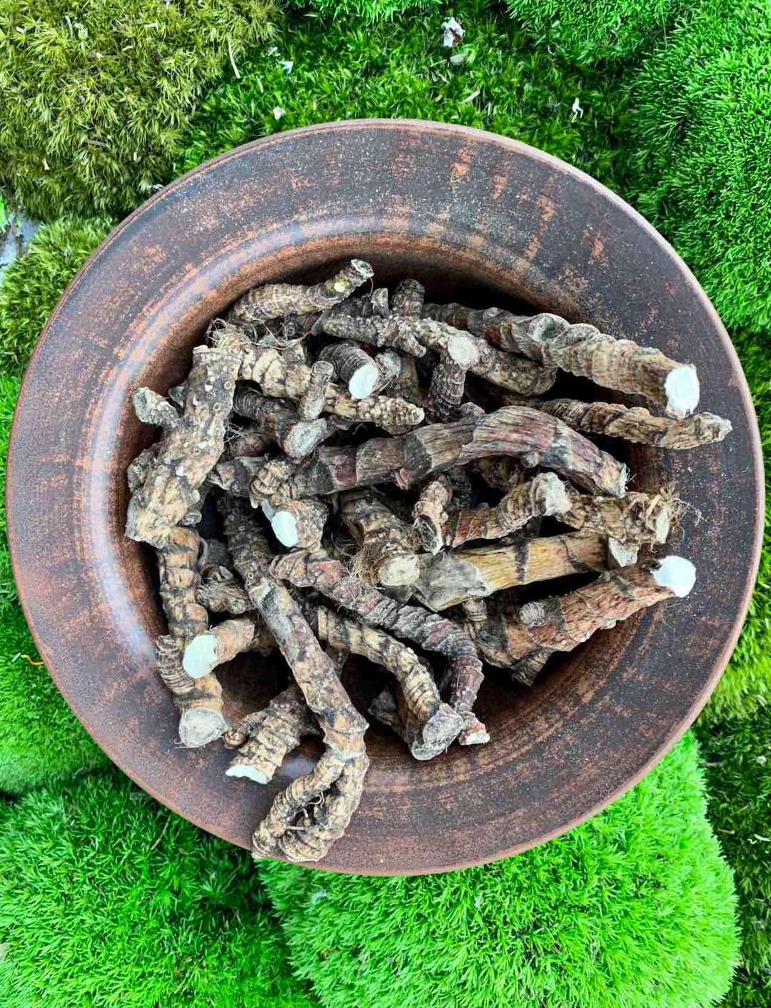 Organic Calamus Root | Acorus Calamus | 50g - Organic Dried Root for ...