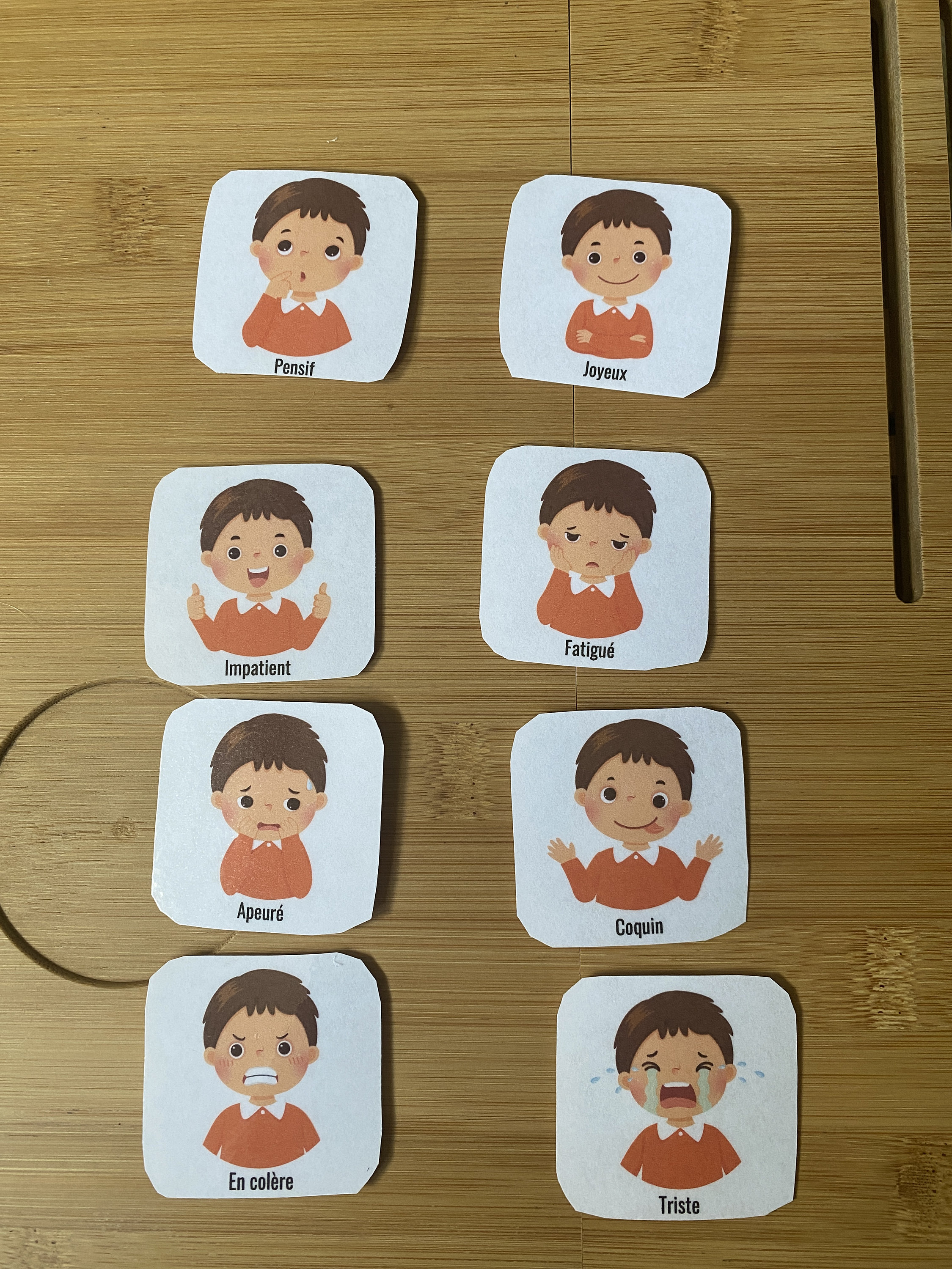 Emotions Chart for Children, Learning to Manage Emotions, Montessori ...