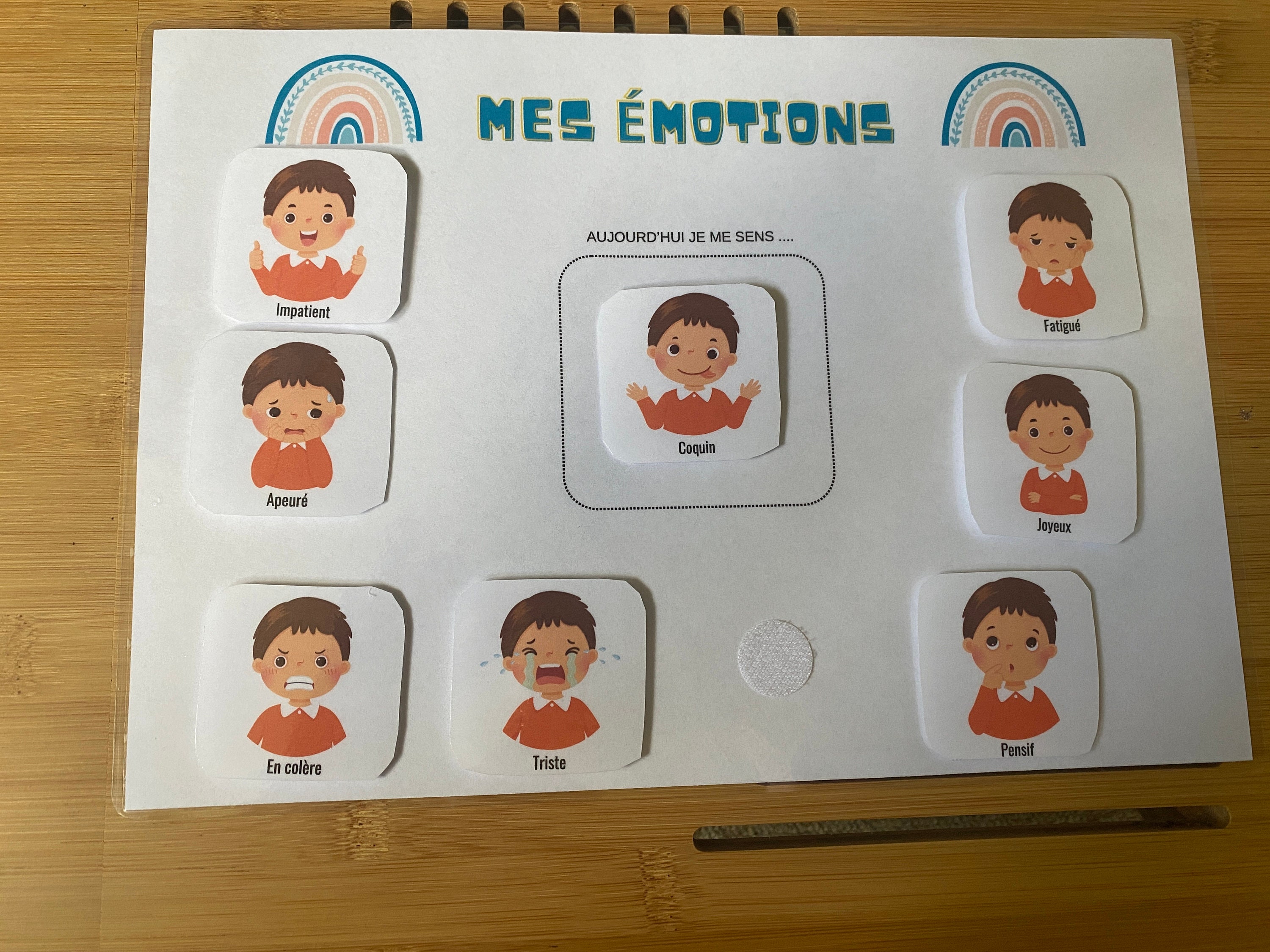 Emotions Chart for Children, Learning to Manage Emotions, Montessori ...