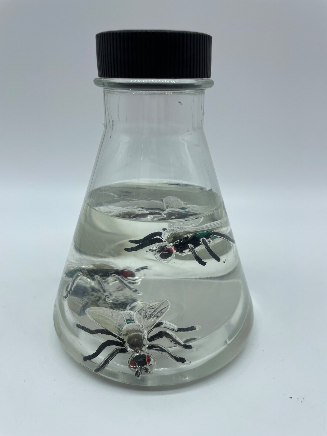 Halloween Fake Fly Prop, Halloween Test Tubes - Etsy