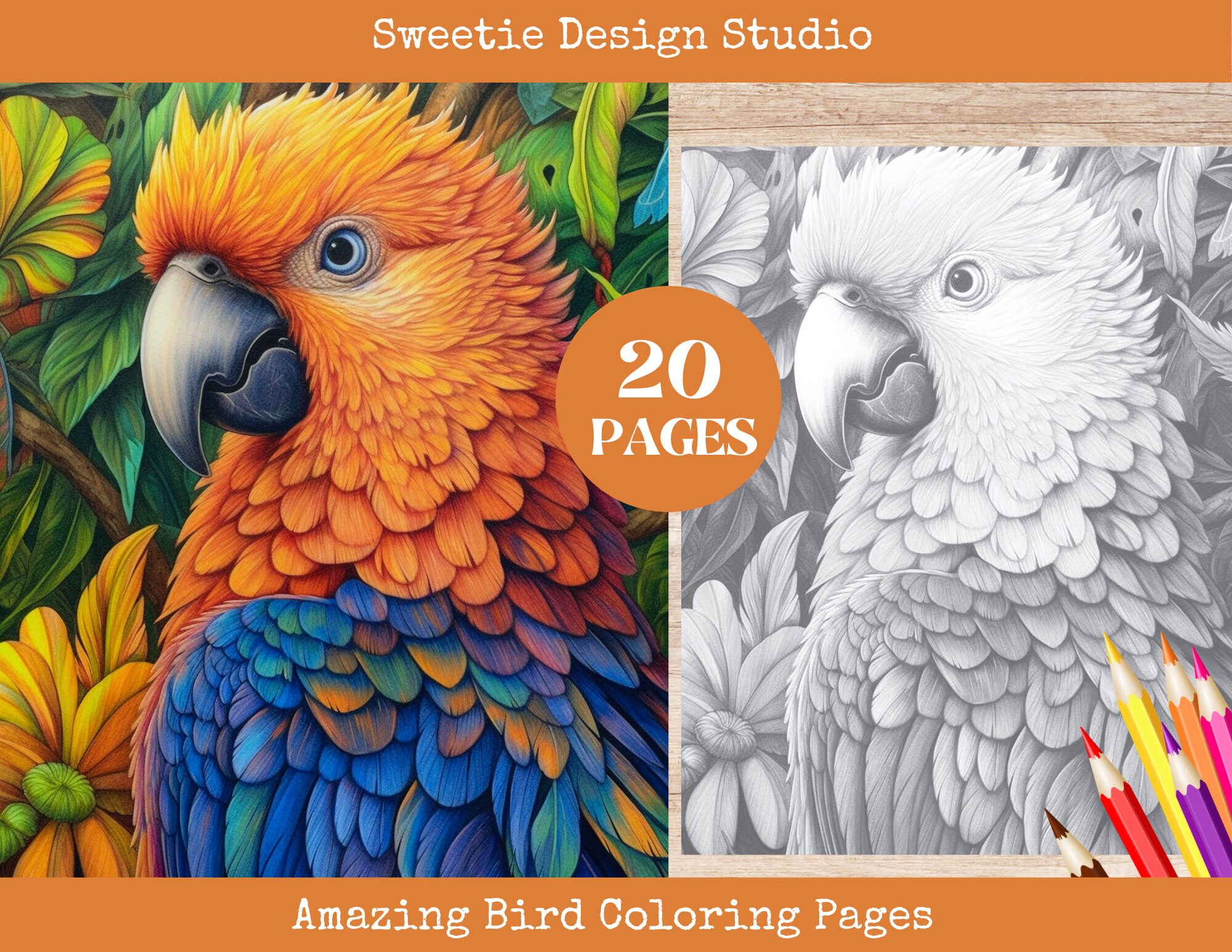 Pet Bird Coloring Pages