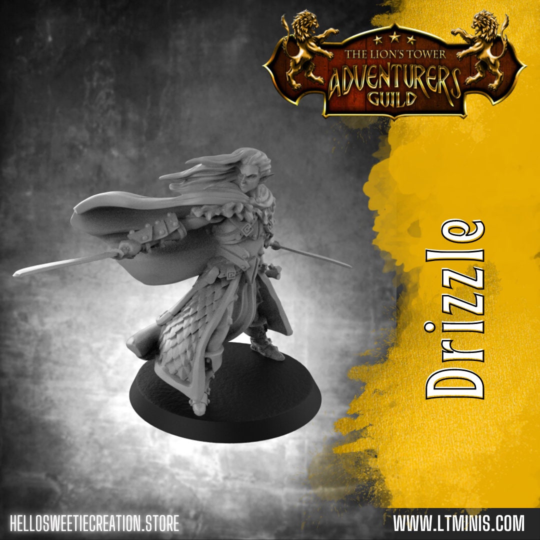 Lions Tower Drizzle Dungeons and Dragons Dnd RPG Mini Figure Character ...