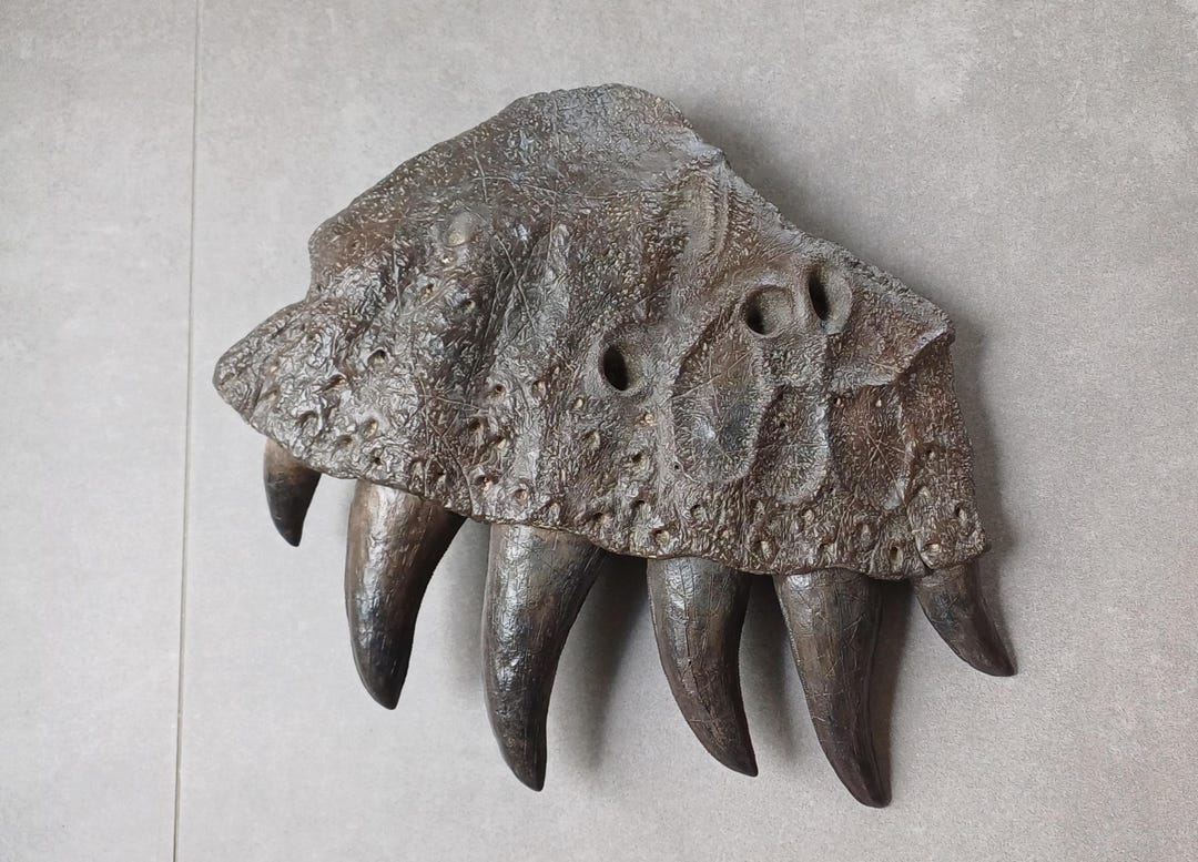 Handcrafted 1:1 Scale T-rex Maxilla - Etsy