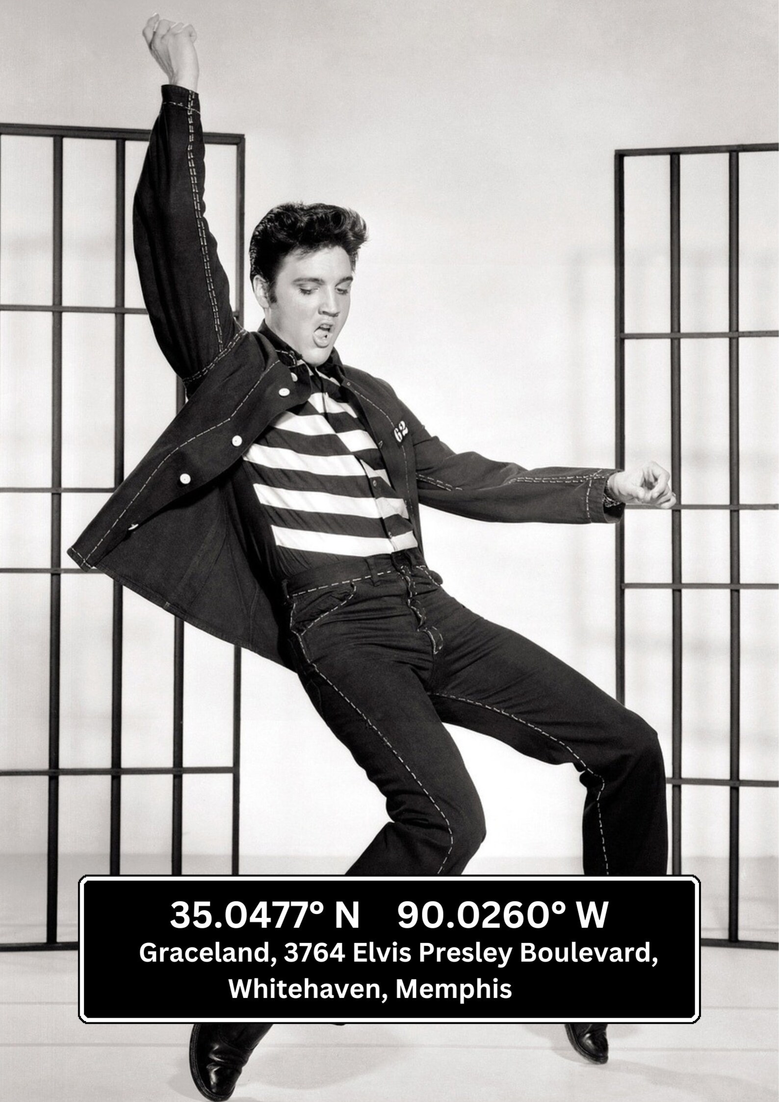 Elvis Presley - Graceland Coordinates Poster A3 - Etsy