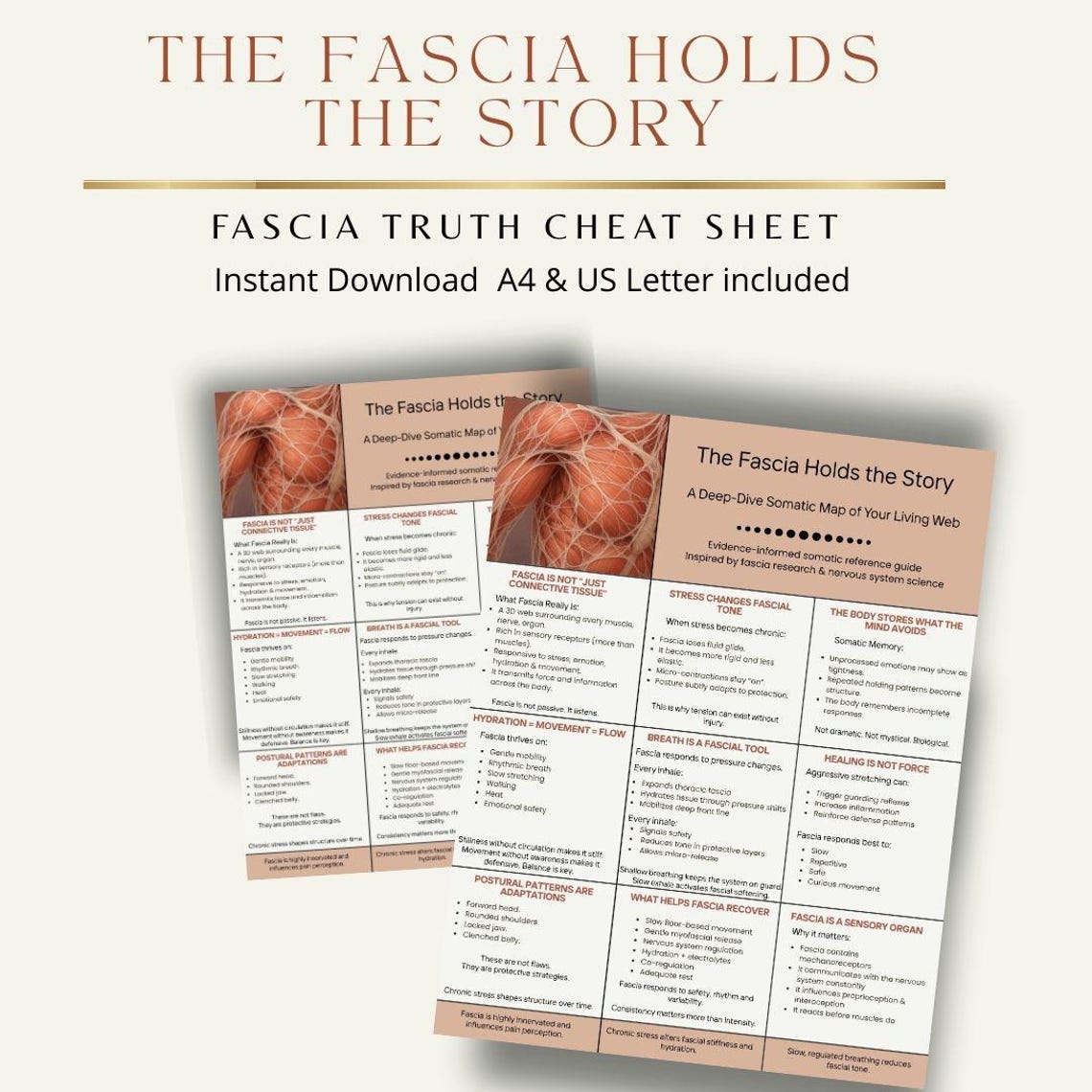 Fascia & Nervous System Guide | Somatic Reference Cheat Sheet ...