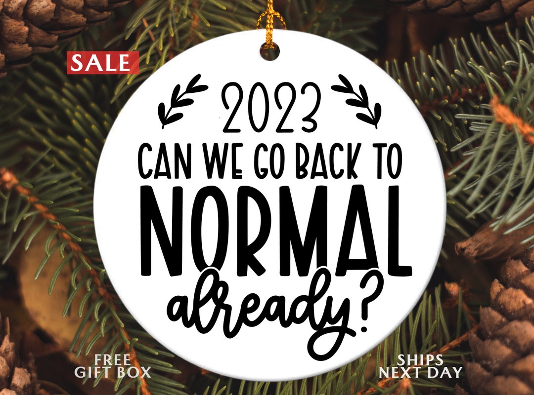 Funny 2025 Christmas Ornament: Can We Go Back to Normal - Etsy
