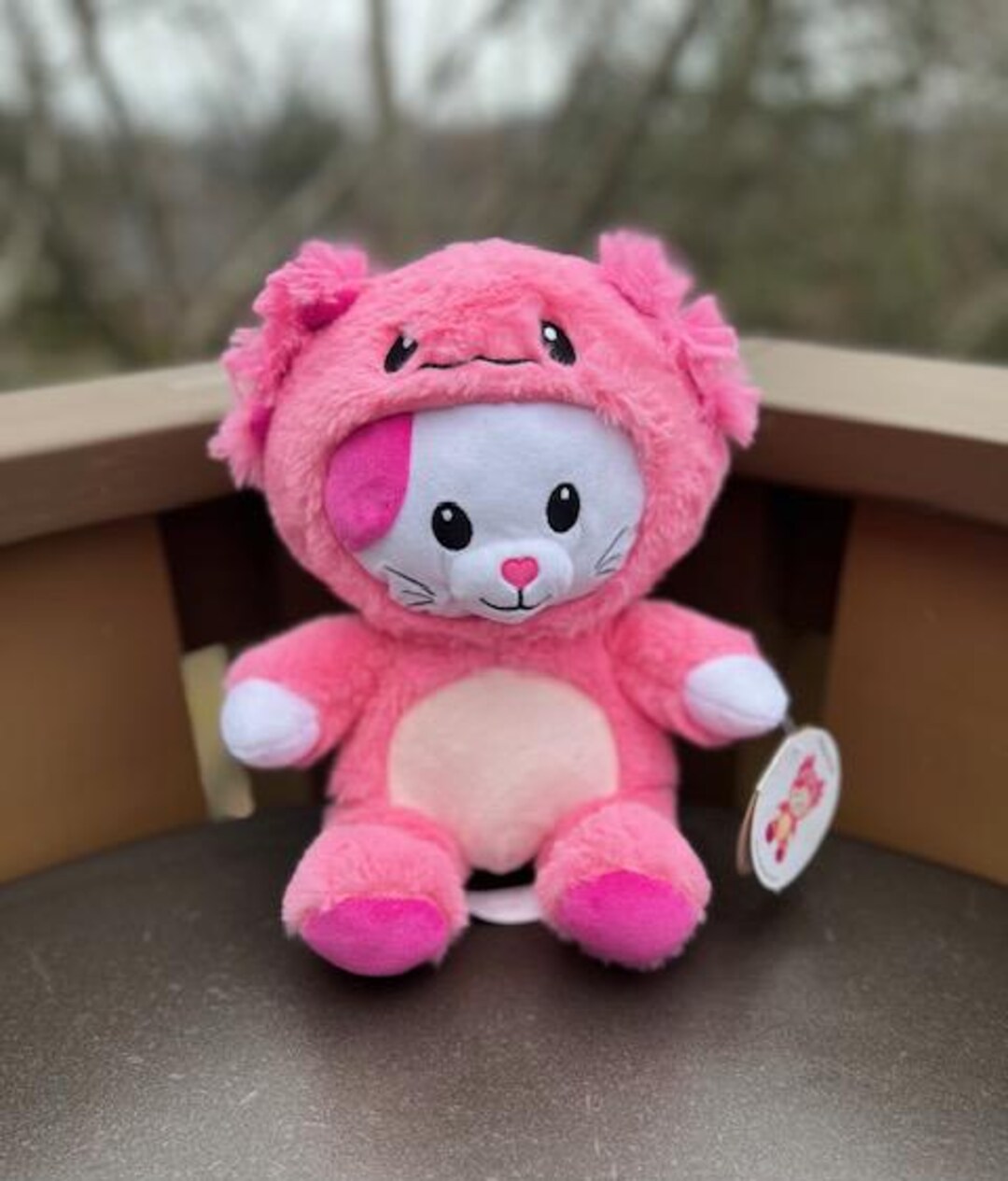 Splish Axolotl Plush Cat Disguisimals Peek a Boo Toy, 9.5 Inches ...