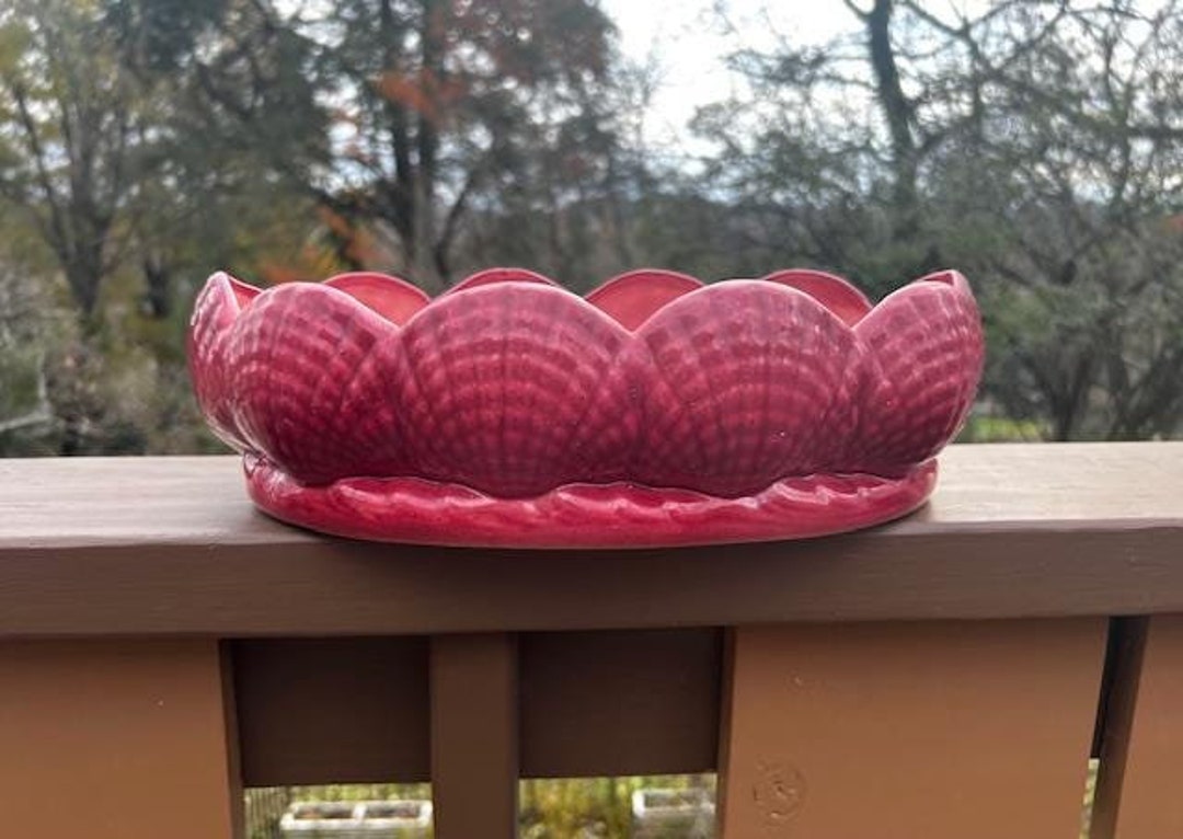 1950's Sea Shell Planter, Rose Pink, Succulent Planter, No Damage ...