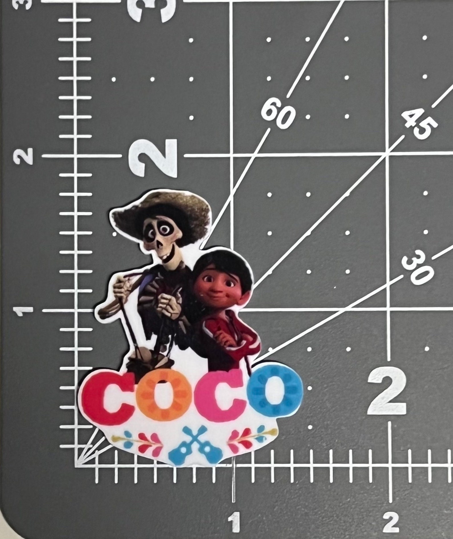 Complete Set of Disney Coco Flat Back Planar Resin Day of - Etsy