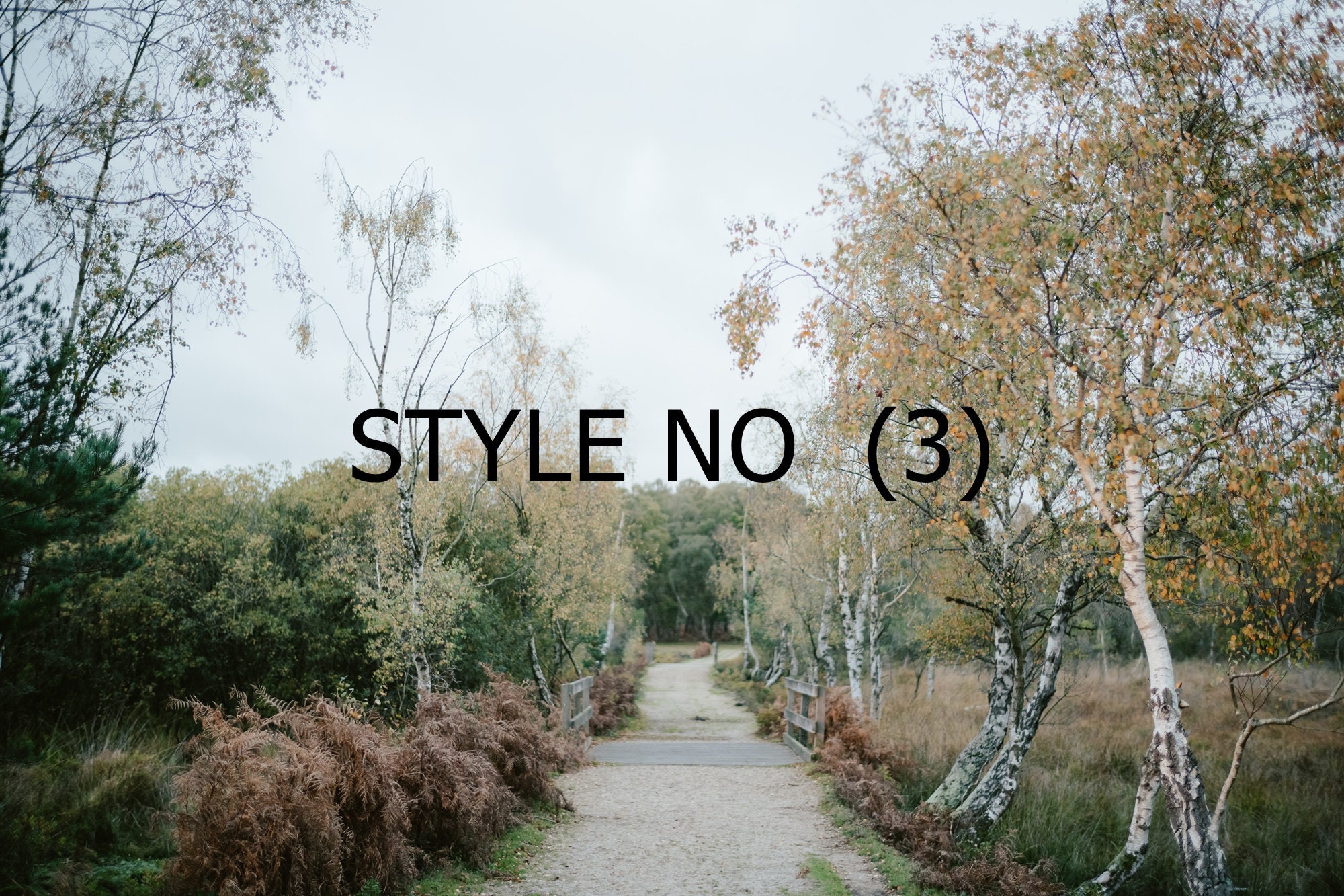 Acrylic Wedding Backdrop Signs Large Acrylic Uv Print Party - Etsy