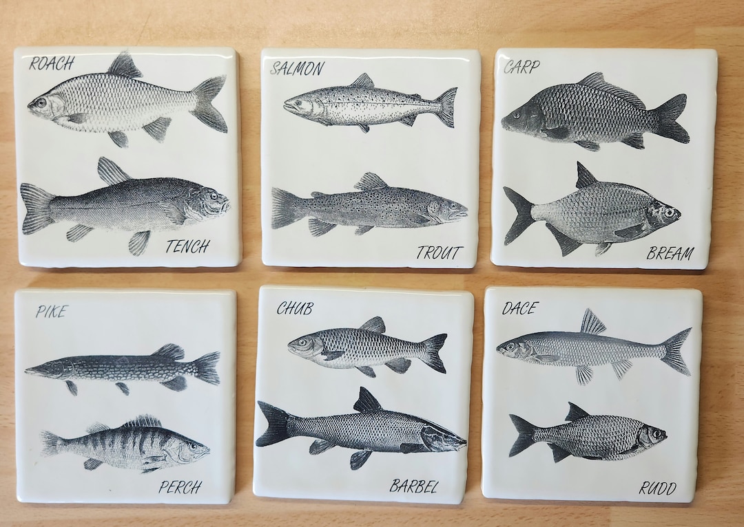 English Freshwater Fish Ceramic Tile Coaster Set X 6 - Etsy