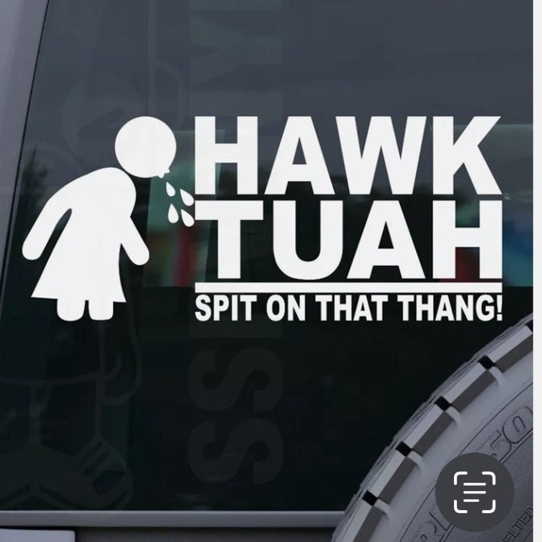 Hawk Tuah Car Decal / Hawk Tuah / Car Decal / Spit on That Thang / Hawk ...