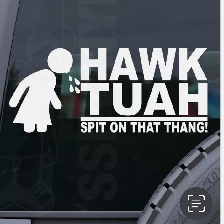 Hawk Tuah Car Decal / Hawk Tuah / Car Decal / Spit on That Thang / Hawk ...
