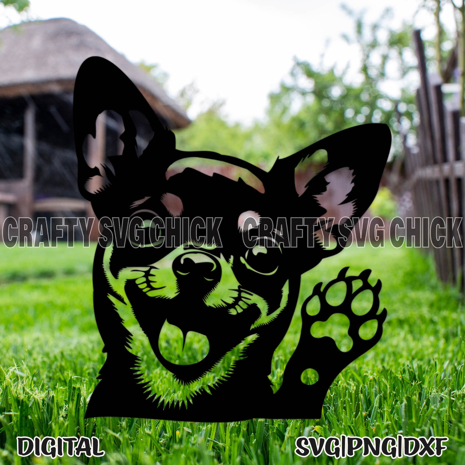 Chihuahua Dog Svg Hola Svg Chihuahua Dog Png Hola Png Chihuahua Dog Dxf ...
