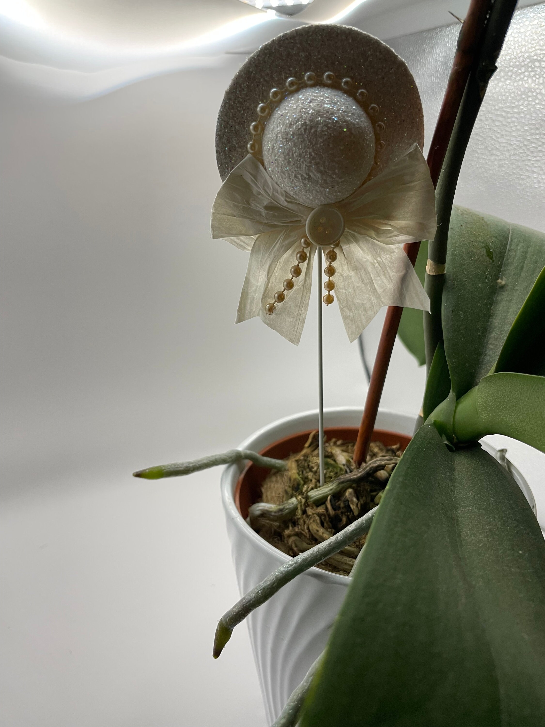 Sparkly Pastel Bonnet Plant Pick - Etsy