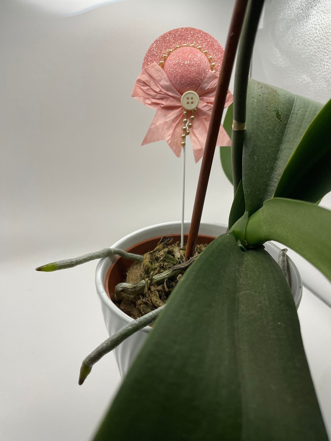 Sparkly Pastel Bonnet Plant Pick - Etsy