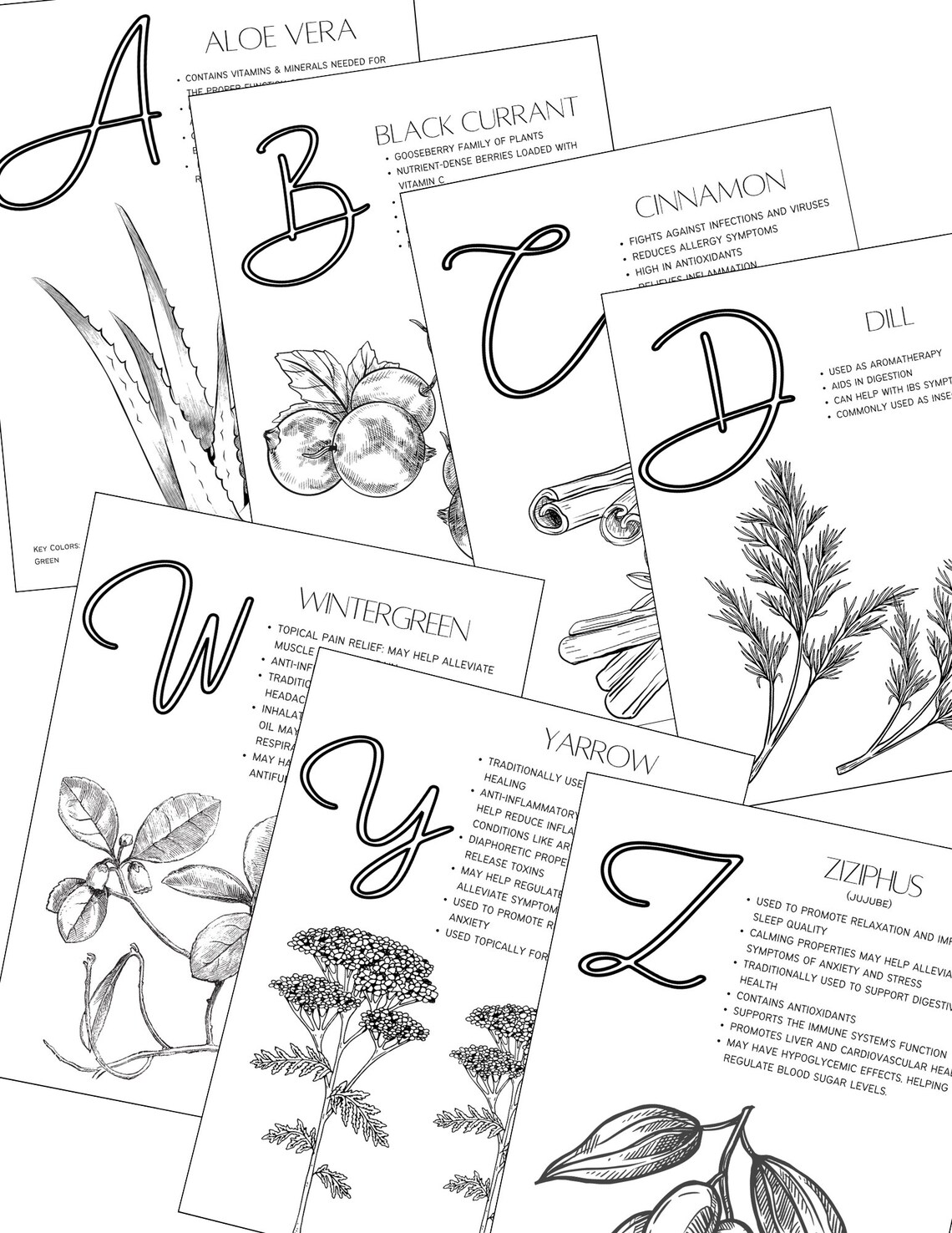 48 Coloring Pages | Herbs A-Z Natural Remedies - Etsy