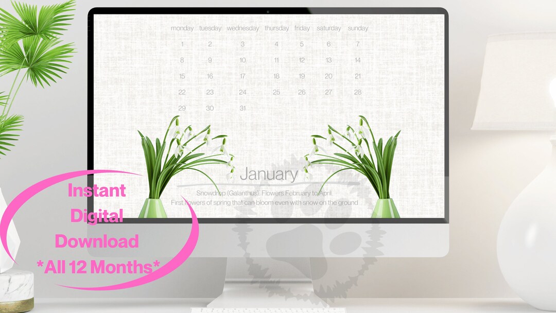 2024 Monthly Calendar Flower of the Month. Computer Desktop Wallpaper ...