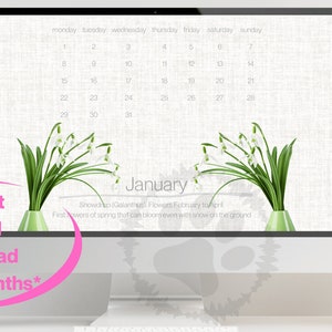 2024 Monthly Calendar Flower of the Month. Computer Desktop Wallpaper ...