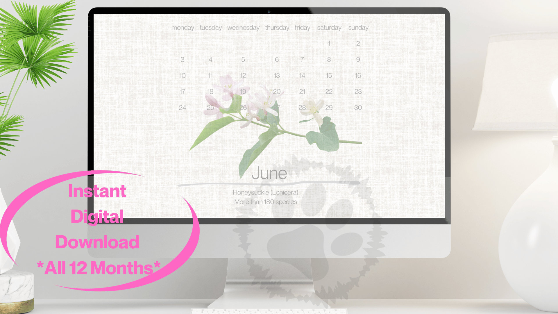 2024 Monthly Calendar Flower of the Month. Computer Desktop Wallpaper ...