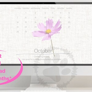 2024 Monthly Calendar Flower of the Month. Computer Desktop Wallpaper ...