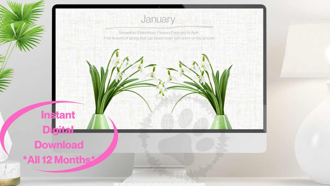 Flower of Month Wallpaper, Slideshow, Screensaver - 12 Months - Etsy