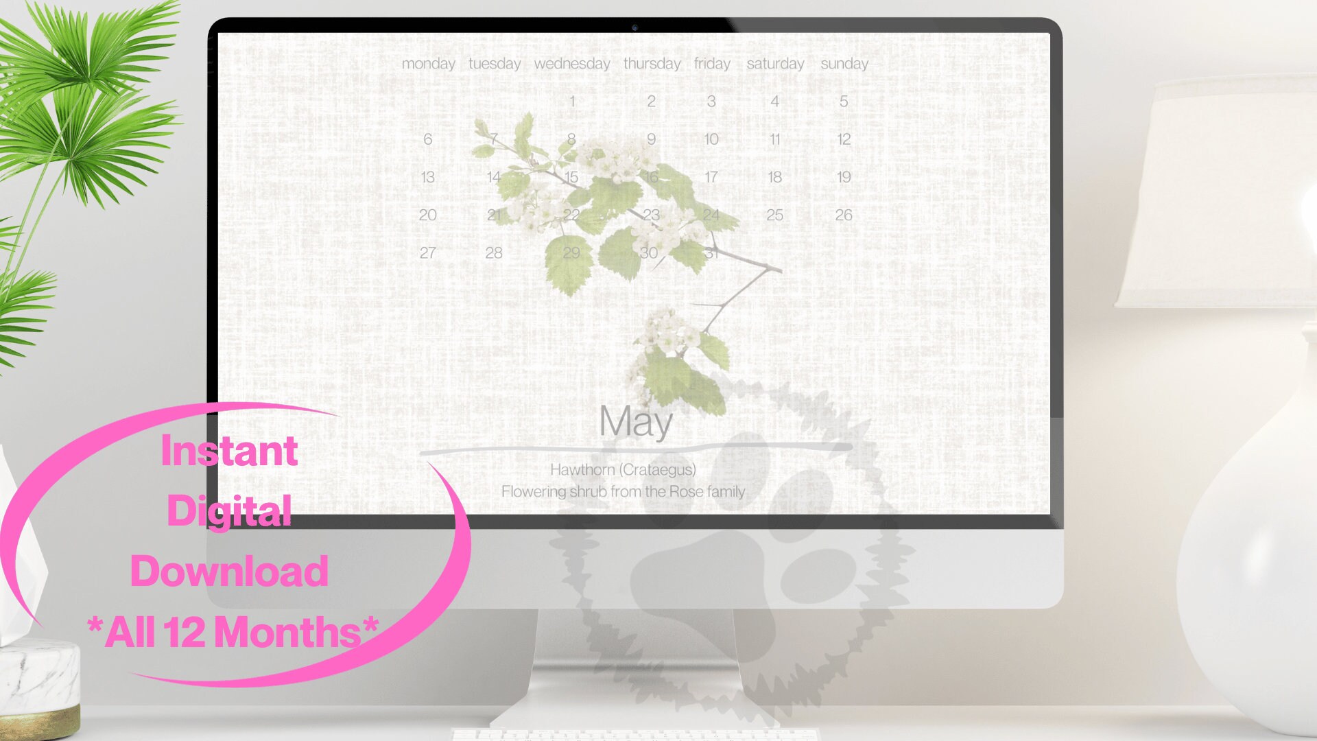 2024 Monthly Calendar Flower of the Month. Computer Desktop Wallpaper ...