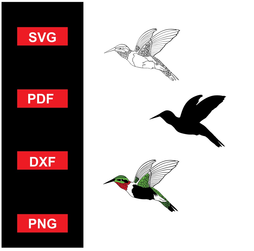 Vector Hummingbirds. Svg Dxf Png Jpeg Fully Editable. - Etsy