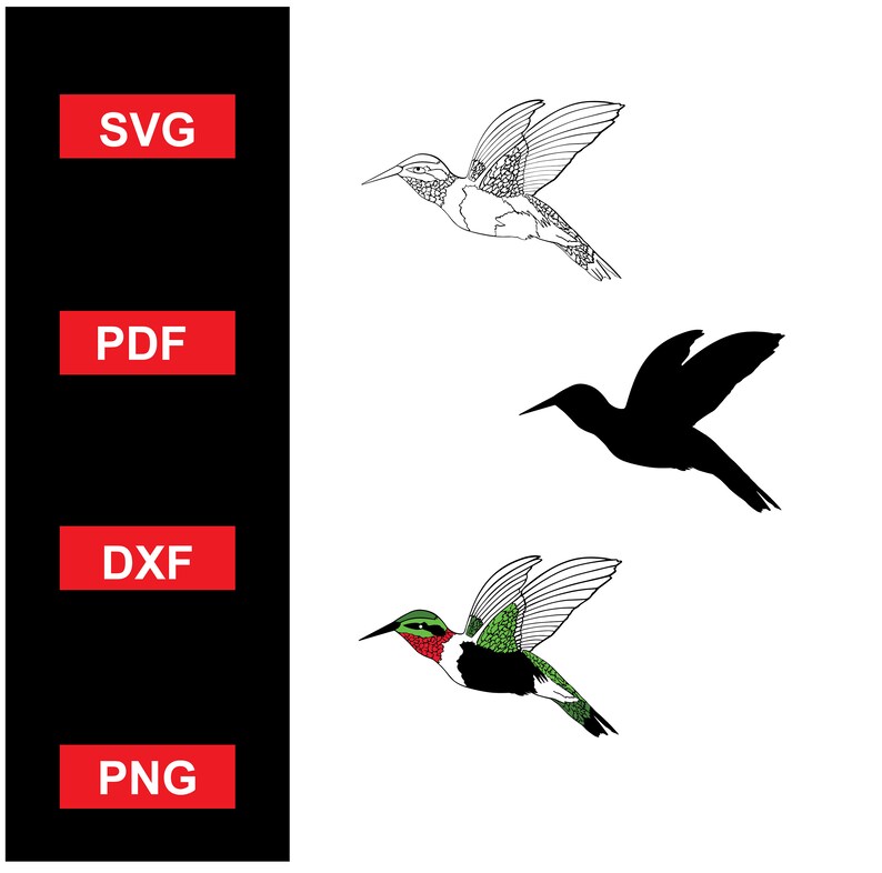Vector Hummingbirds. Svg, Dxf, Png, Jpeg Fully Editable. Instant ...